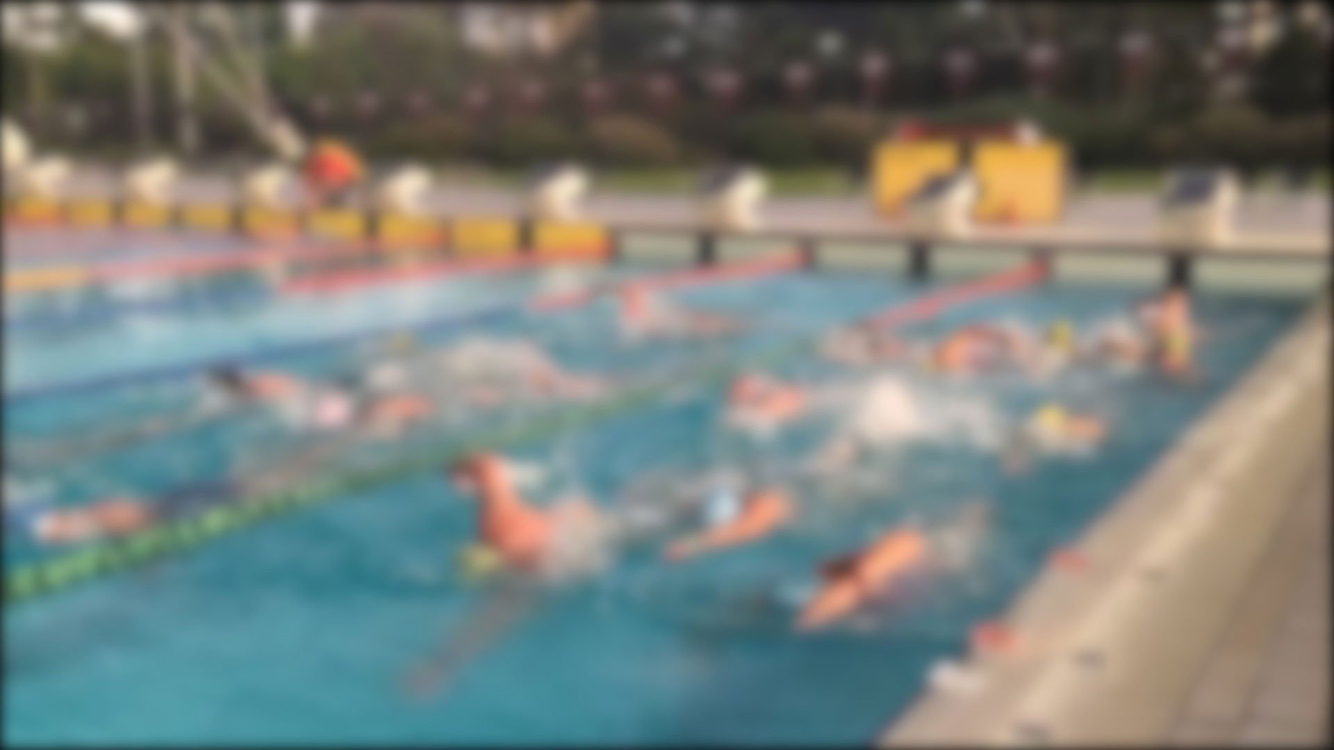 Tri-Alliance Triathlon Training Melbourne – Melbourne Triathlon ...